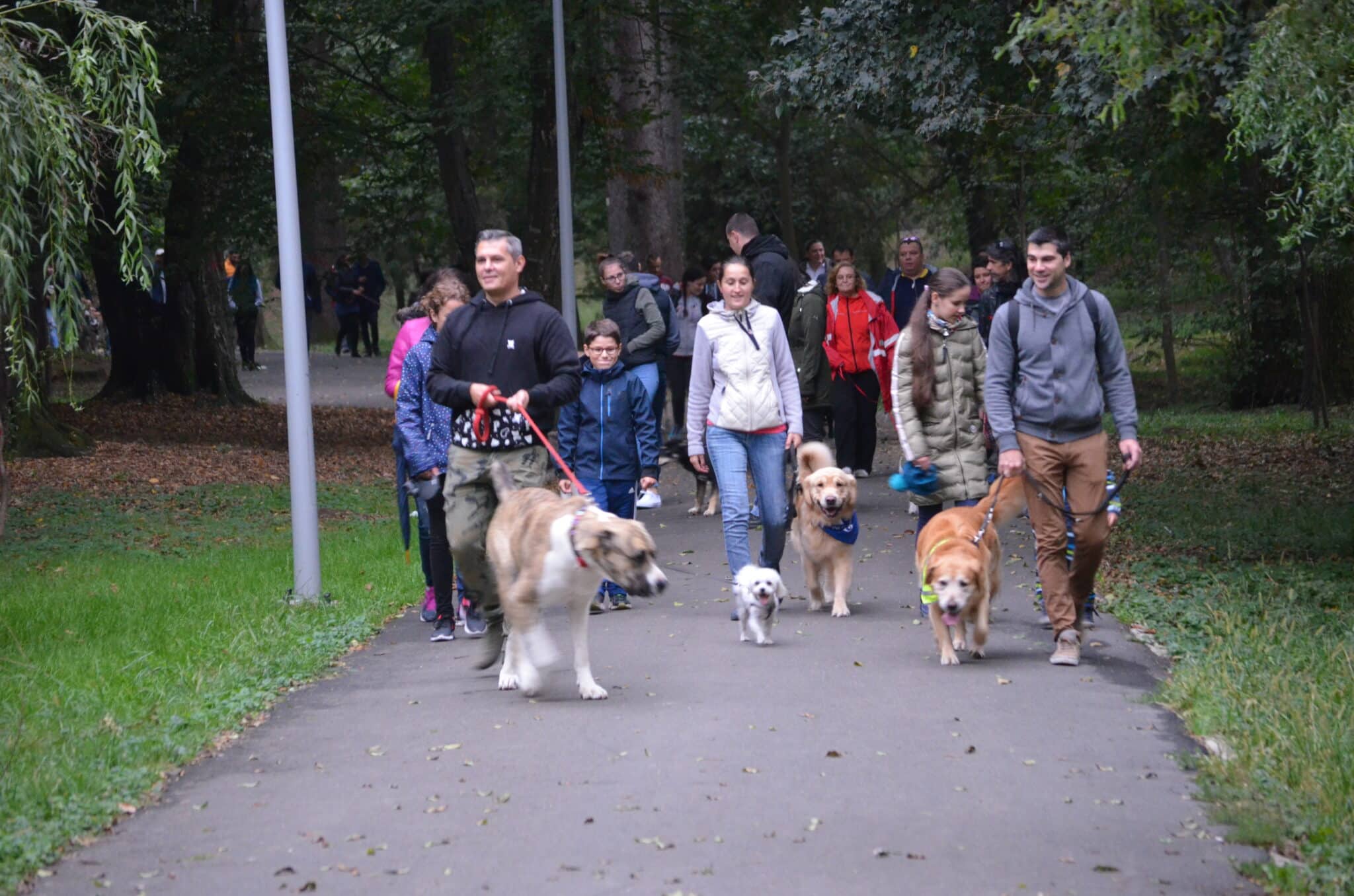 5 Ways to Show Your Support During the World’s Largest Pet Walk - Pet ...