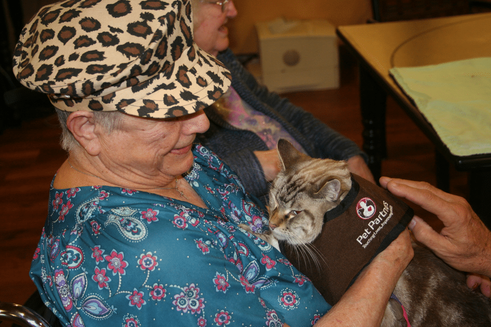 Theories Behind Animal-Assisted Interventions