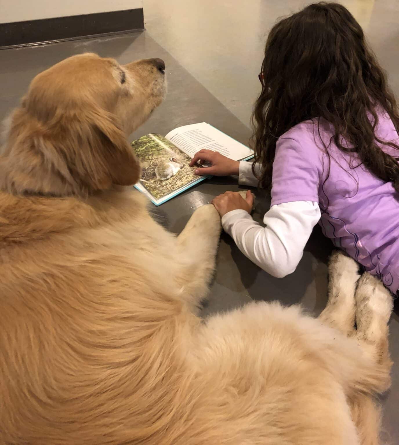 We Are All Ears: Worldwide Reading with Pets Project