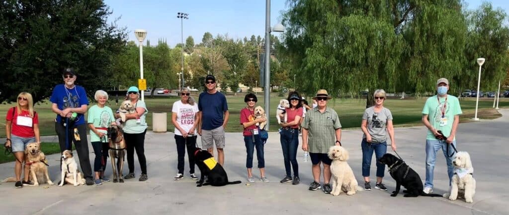 World's Largest Pet Walk 2021: The Biggest Yet - Pet Partners