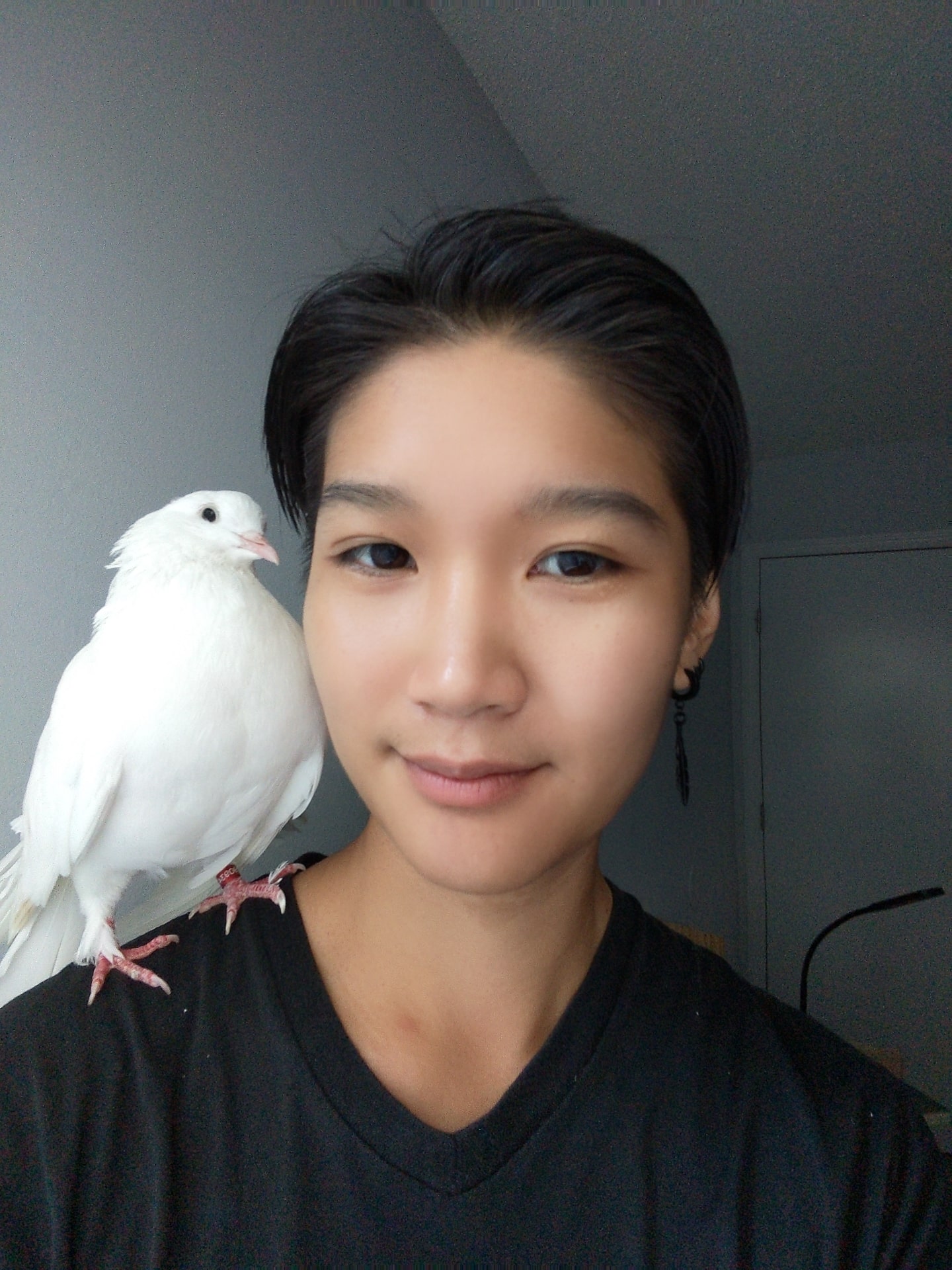 Vince Hua and Jhun: Spreading the Word About Therapy Birds - Pet Partners
