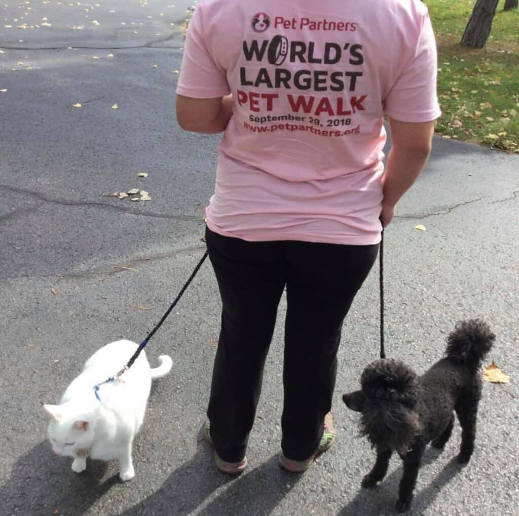 5 Ways to Show Your Support During the World’s Largest Pet Walk - Pet ...