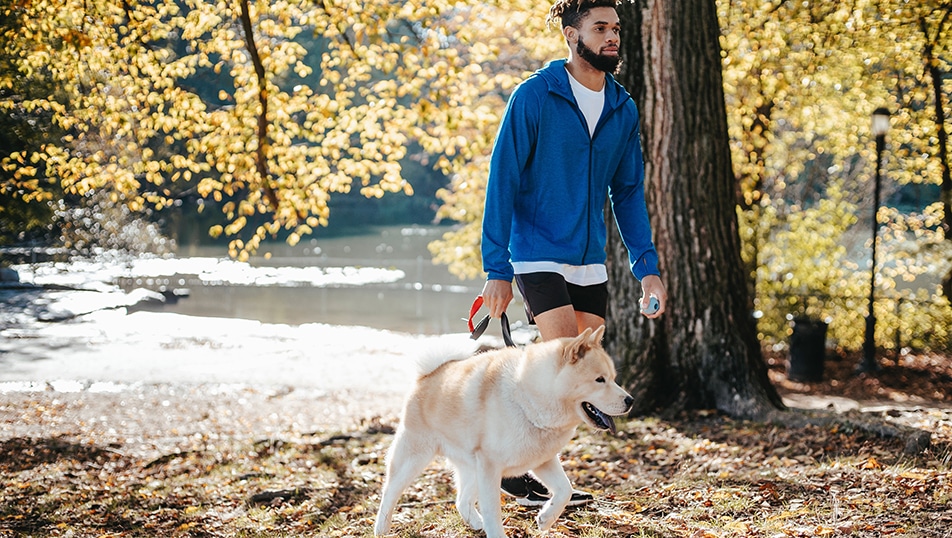 Pet & Therapy Animal Handler Requirements - Pet Partners