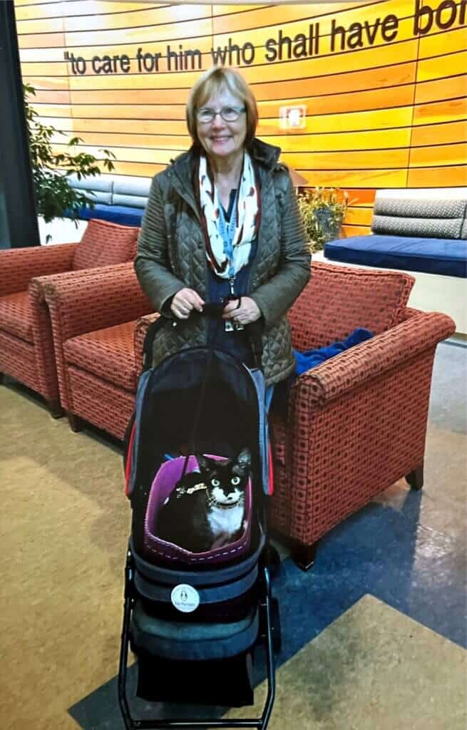 Dannie Sayers & Puntino: Bringing Feline Comfort - Pet Partners