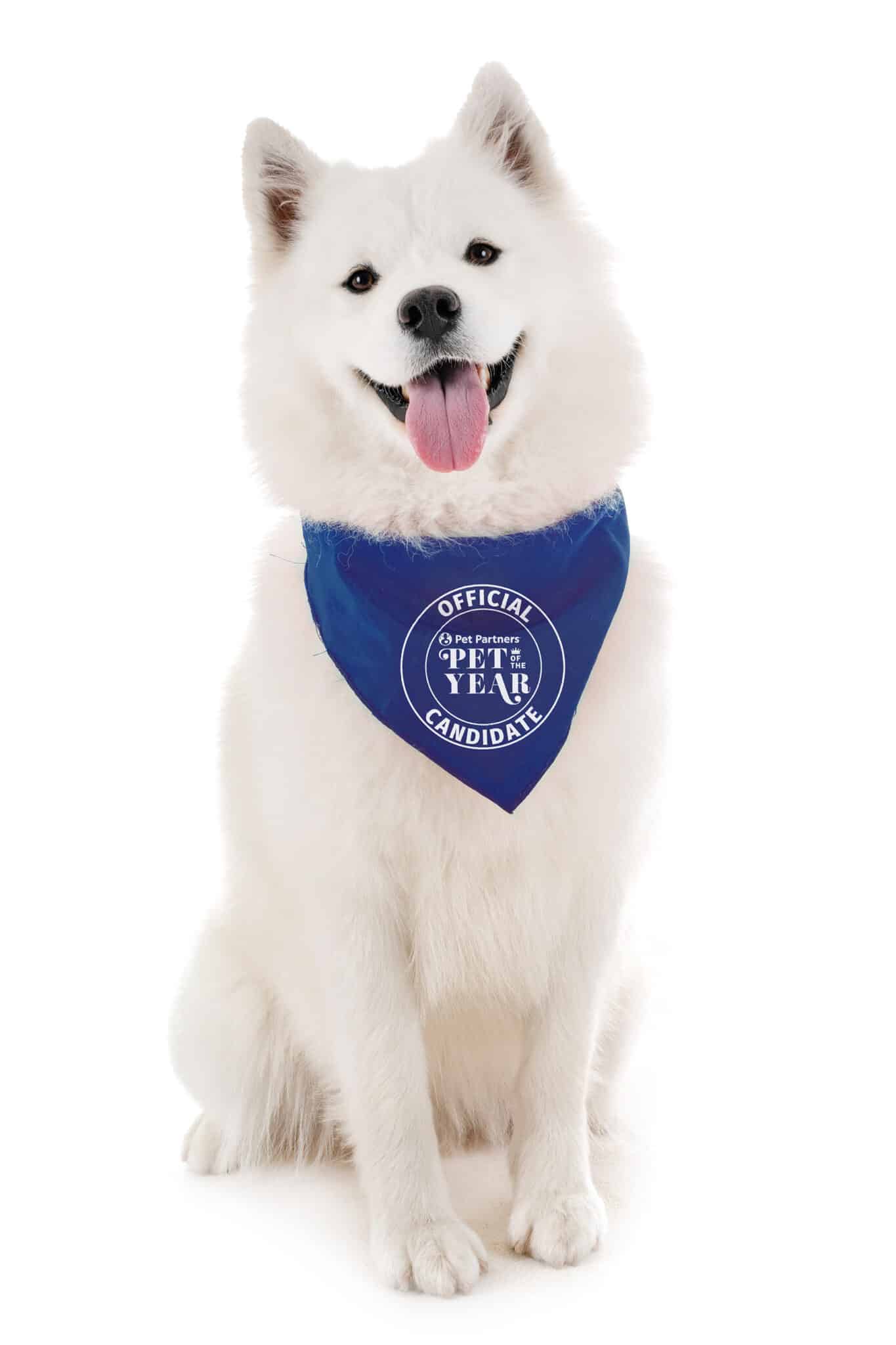 Pet Partners Pet of the Year 2024: Nominations Now Open! - Pet Partners