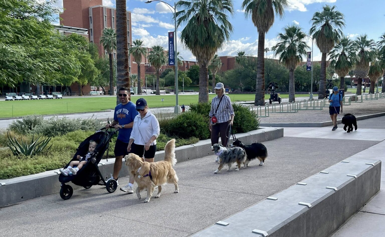 That’s a Wrap: World’s Largest Pet Walk 2025 - Pet Partners