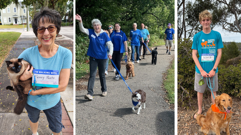 That’s a Wrap: World’s Largest Pet Walk 2025 - Pet Partners